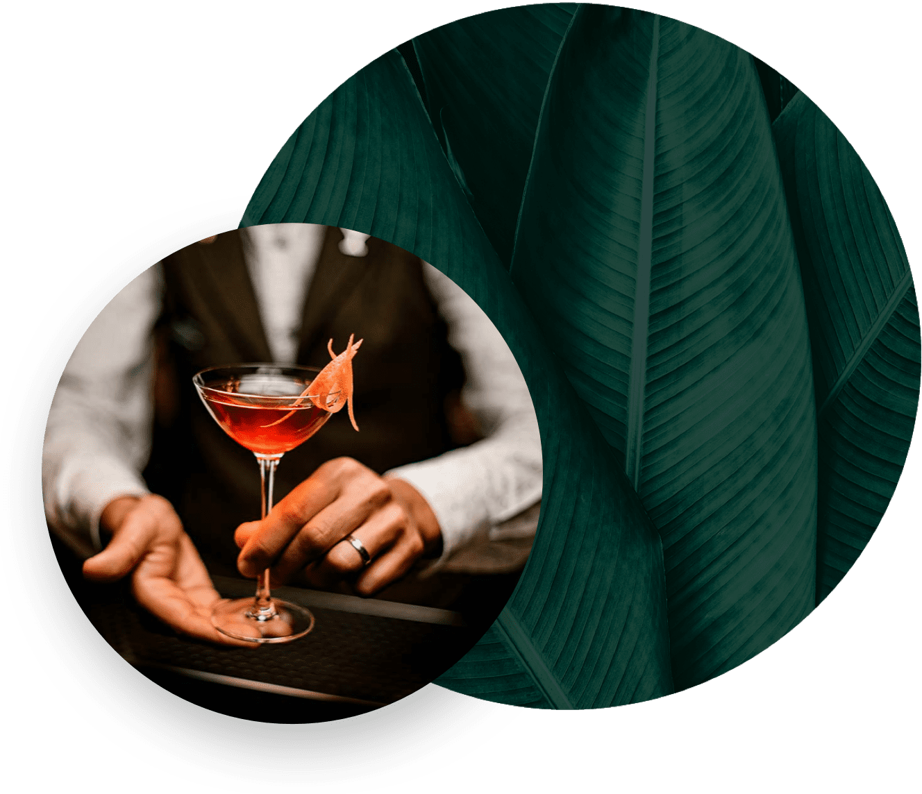 The Winsberg at Green Cay | South Florida Life Plan Community